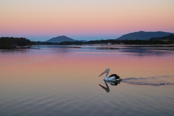 Dunbogan Caravan Park | Sites, Cabins | Mid North Coast | Book Now!