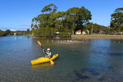 Dunbogan Caravan Park | Sites, Cabins | Mid North Coast | Book Now!